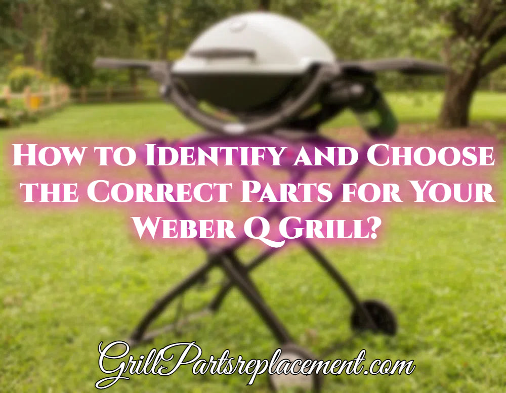How to Identify and Choose the Correct Parts for Your Weber Q Grill ...