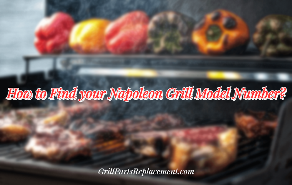 How to Find your Napoleon Grill Model Number? – GrillPartsReplacement ...